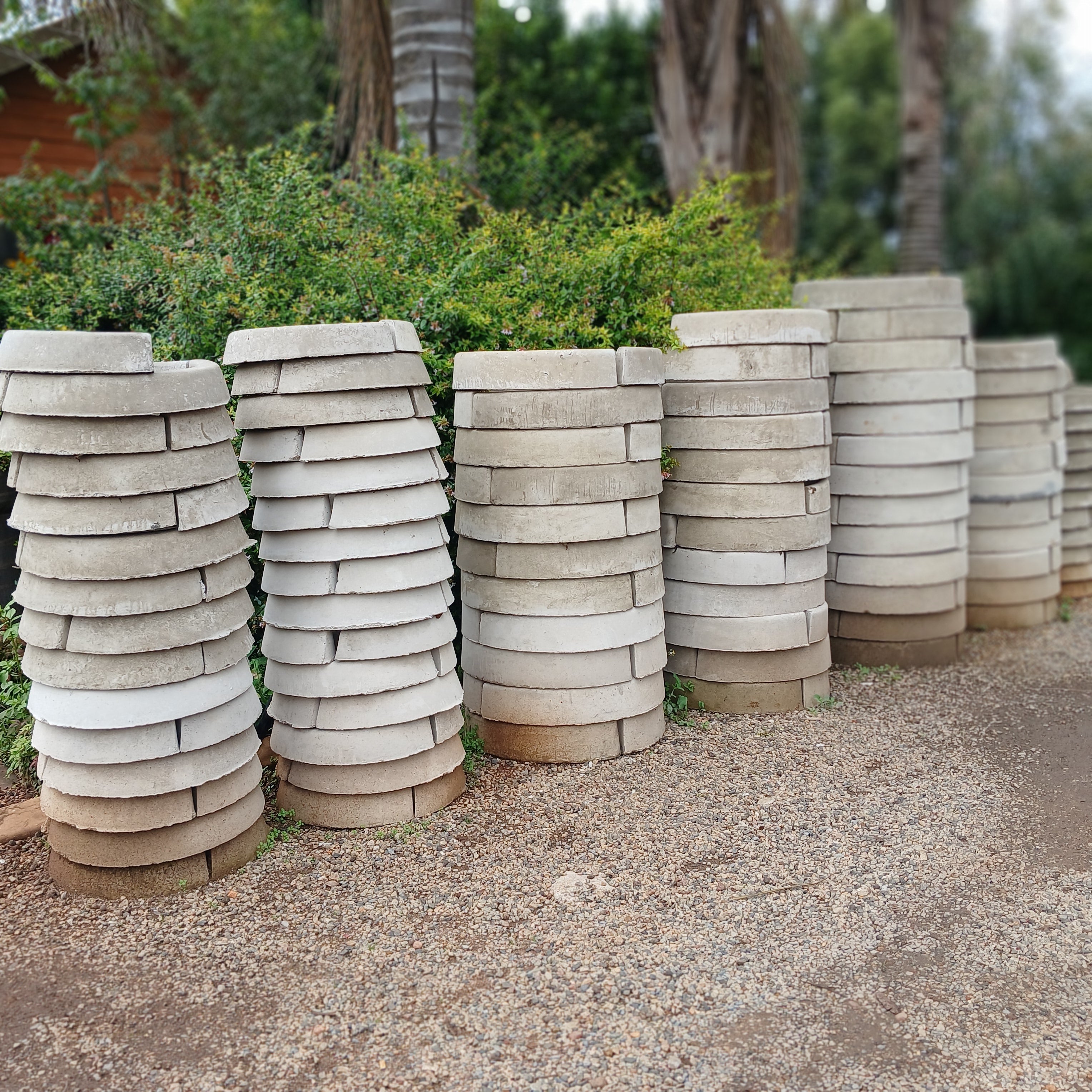 Concrete Tree Rings – Schubert Landscapes
